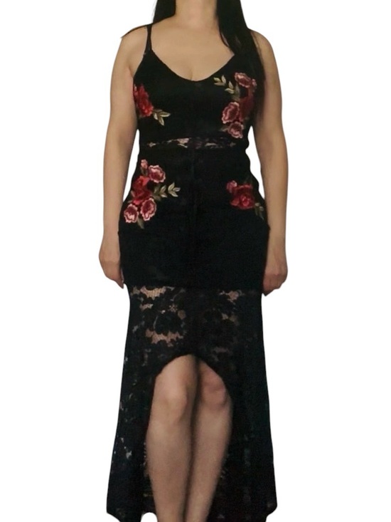 Dresses | Black Lace Maxi Dress With Red Rose Embroidery | Poshmark